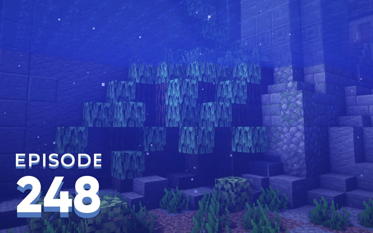 The Spawn Chunks 248: Digging At The Roots Of The Wild Update | The ...